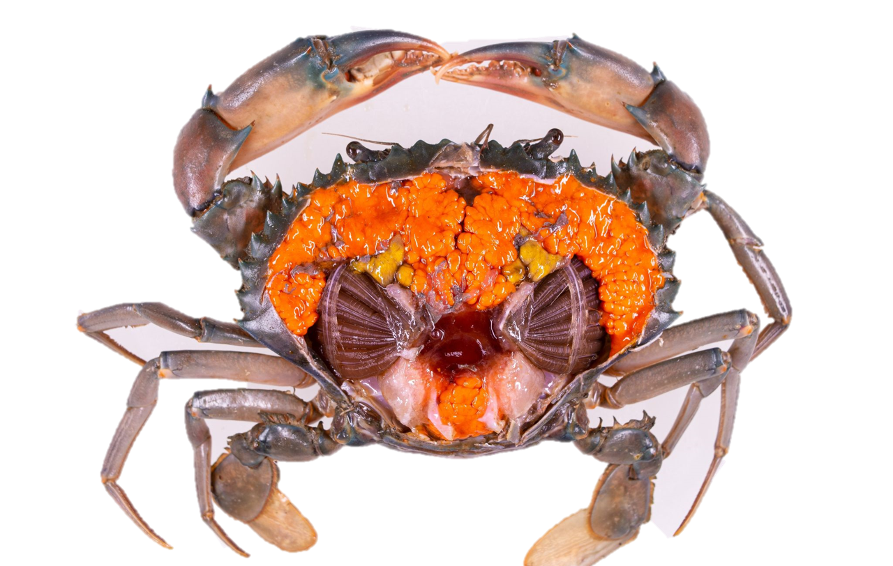 Biooui | POSN 2nd Camp: Lab