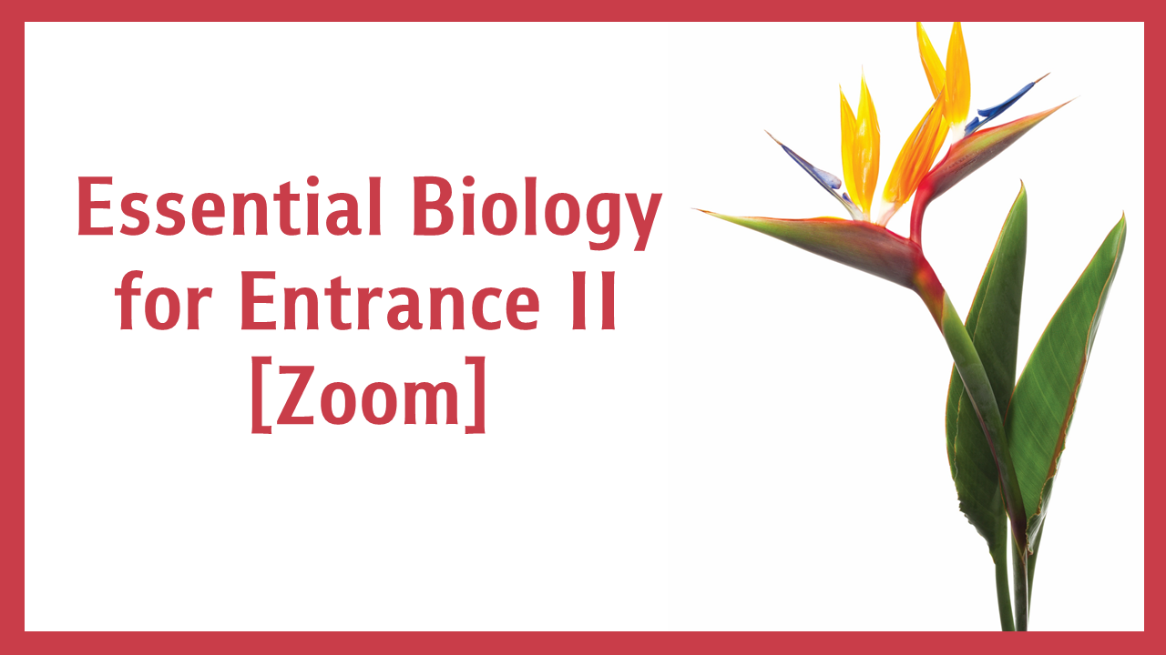 Biooui | Essential Biology for Entrance II 2023 [Zoom]